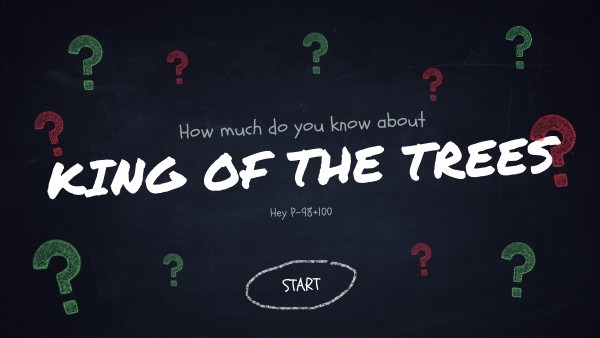 QUIZ HOW MUCH DO YOU KNOW