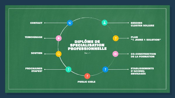 Diplôme de Spécialisation Professionnalisation