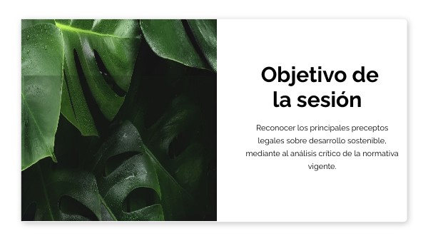 VIBRANT DIDACTIC UNIT