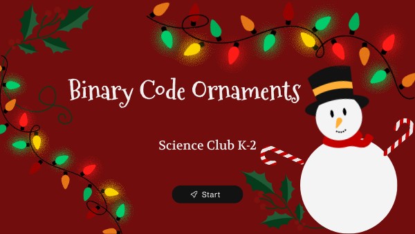 Binary Code Ornaments