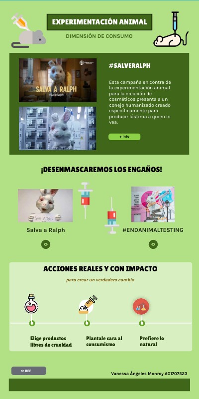 DIMENSION DE CONSUMO