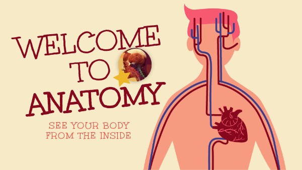 ANATOMY PRESENTATION | Genially