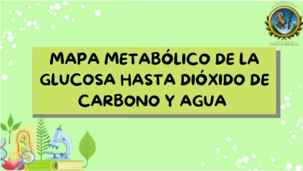 MAPA METABOLICO | Genially