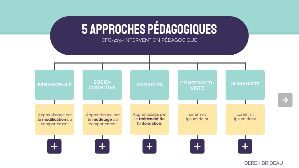 CFC213_5 approches pédagogiques