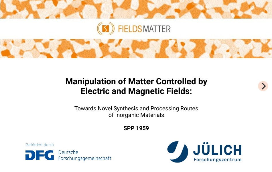 Fields Matter EN | Genially