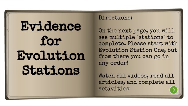 Evidence for Evolution Stations