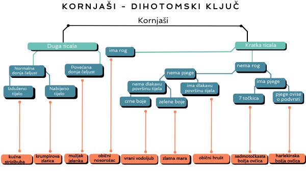 PROBLEM TREE II | Genially