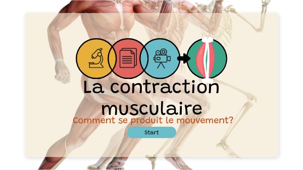 contraction musculaire | Genially