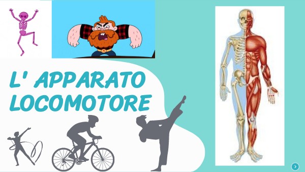 Apparato locomotore | Genially