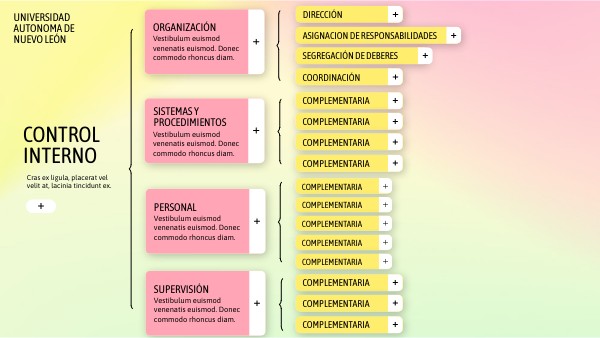 CUADRO SINÓPTICO CONTROL INTERNO | Genially