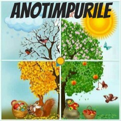 Anotimpurile TICE