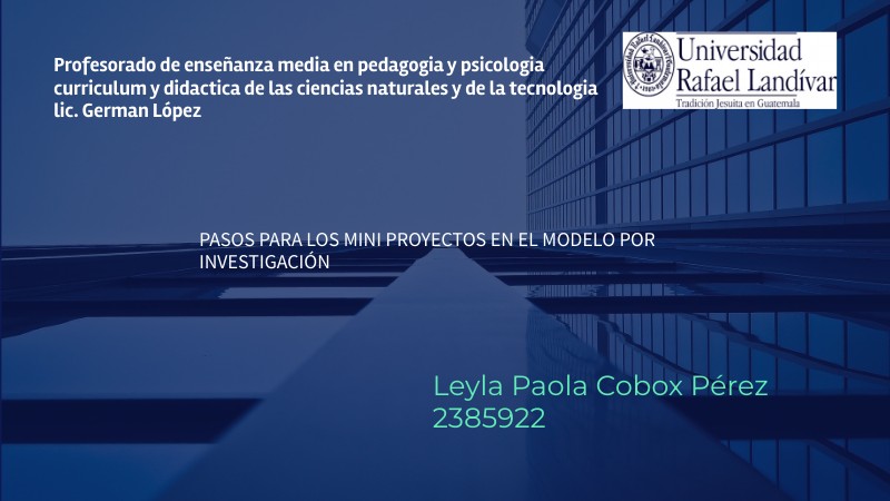 Pasos para los mini proyectos