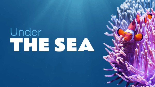 Under the Sea | Genially