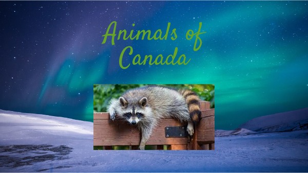 Animals of Canada