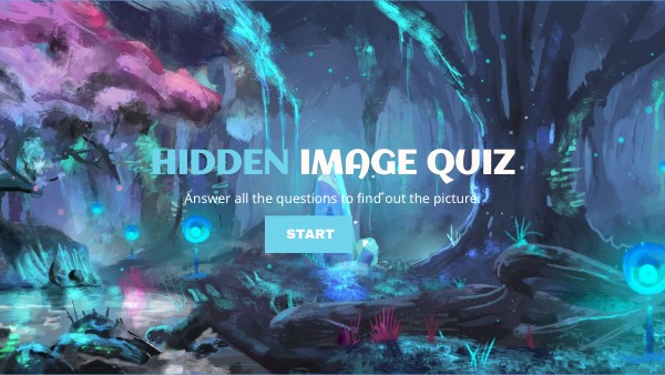 HIDDEN IMAGE QUIZ