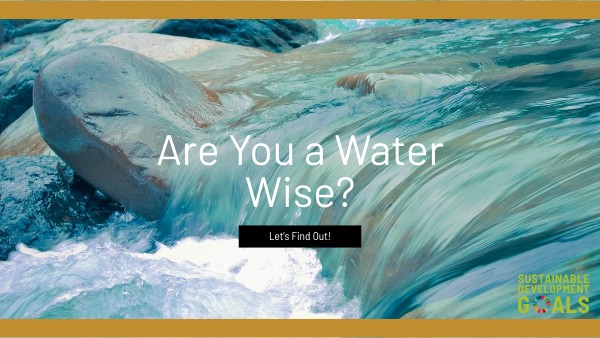 Are you a Water Wise?