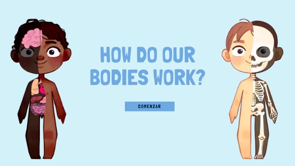 Our body