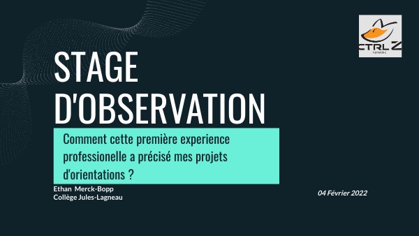 Oral de stage | Genially