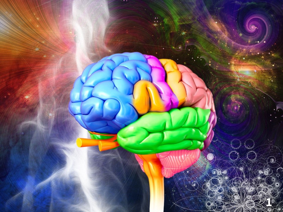 BG1518: Medical Prefixes_Anatomy and Physiology | Genially