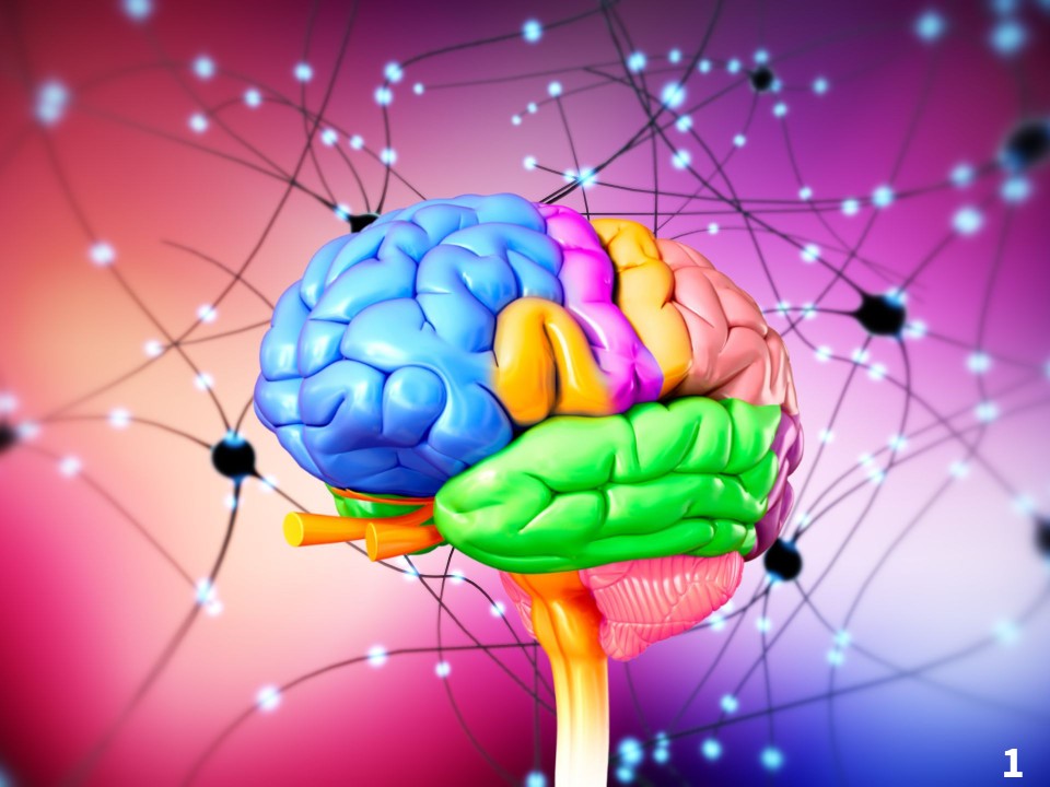 Brain Games 1114: Neurotransmitters | Genially
