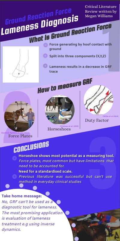 Infographic for Dissertation