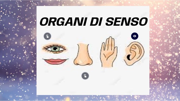 organi di senso