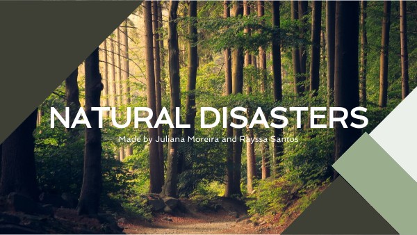 NATURAL DISASTERS PRESENTATION