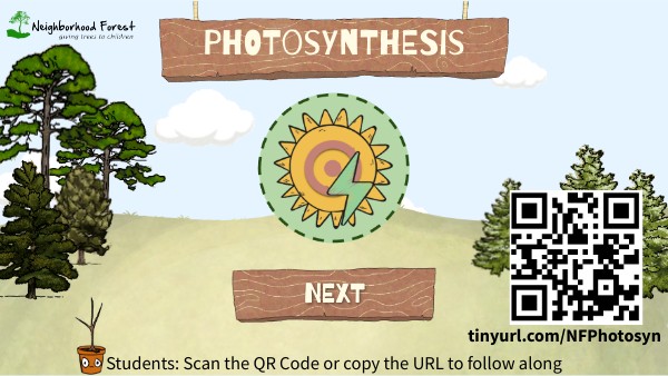 Photosynthesis - Science of Trees | Genially