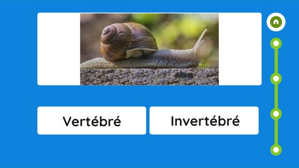 Vivant ou non-vivant | Genially