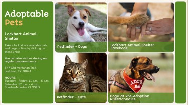Adoptable animals panel | Genially