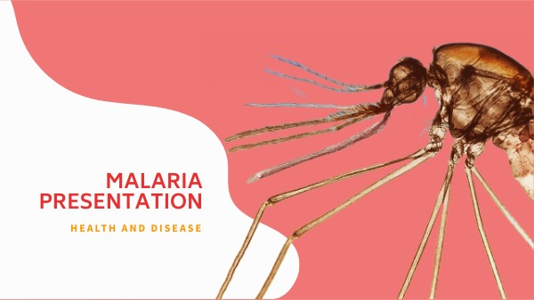 MALARIA PRESENTATION | Genially