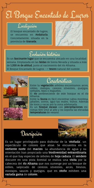 BOSQUE ENCANTADO | Genially