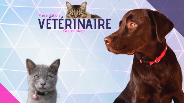 Diaporama vétérinaire | Genially