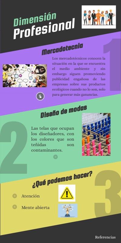 Dimensión profesional