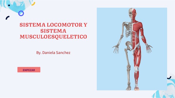 SISTEMA LOCOMOTOR Y SISTEMA MUSCULOESQUELETICO | Genially