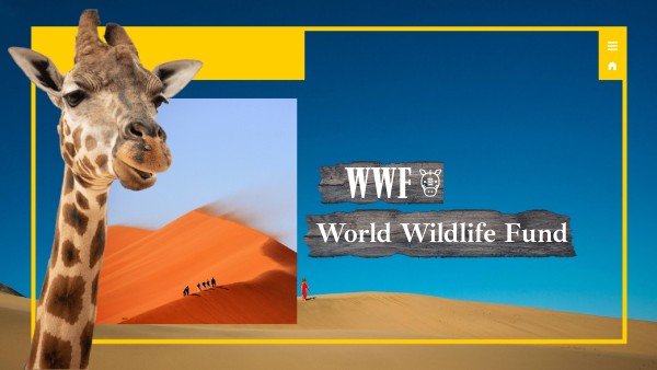 ANIMALS PRESENTATION