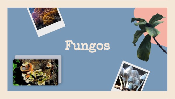 Fungos | Genially