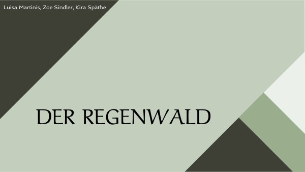 DIAGONAL PROJECT PRESENTATION