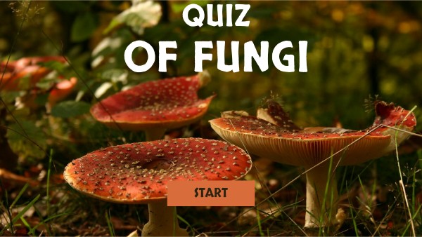QUIZ FUNGI