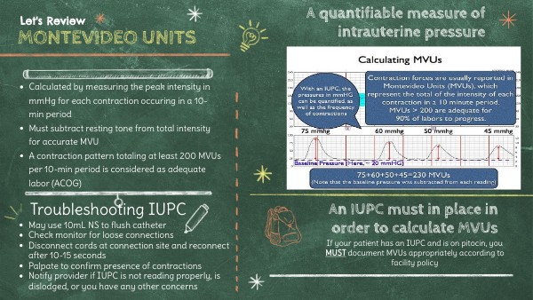 Montevideo Units Review | Genially