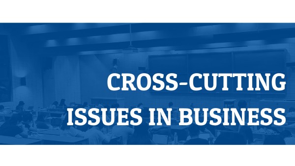 Cross-cutting issues in business (20.05.2024)