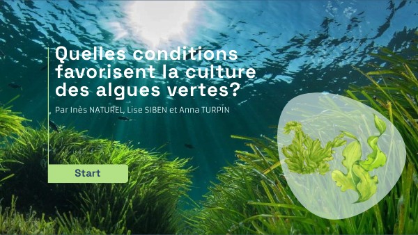 Les algues vertes, E.S