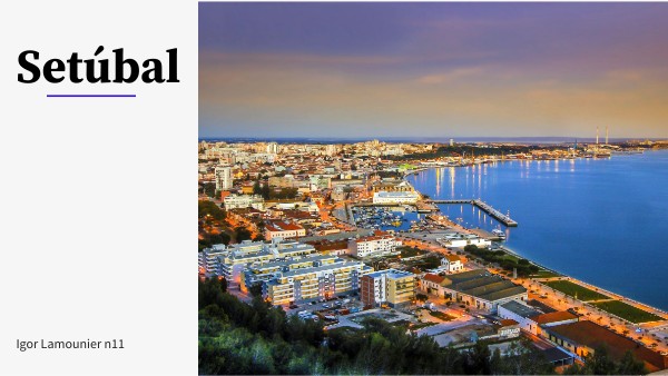 BASIC DIGITAL DOSSIER | Genially