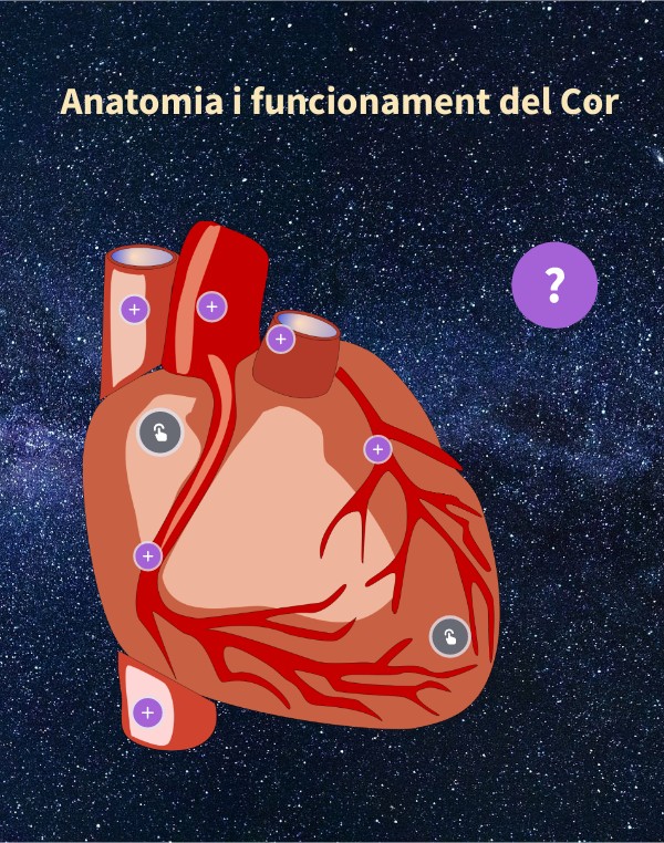 El Cor interactiu | Genially