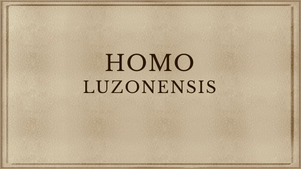 Homo luzonensis
