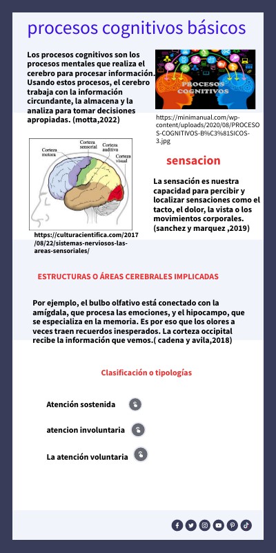 INFOGRAFÍA BÁSICA | Genially