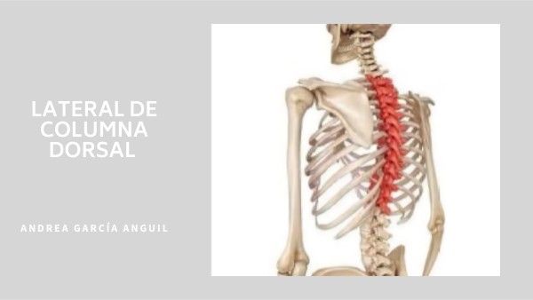 Copia - PRESENTACIÓNLATERAL DE COLUMNA DORSAL