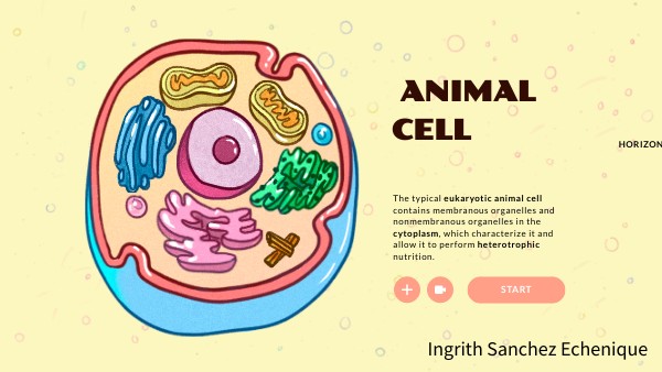 PARTS OF THE ANIMAL CELL | Genially