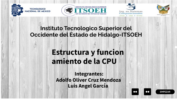 Estructura y funcionamiento