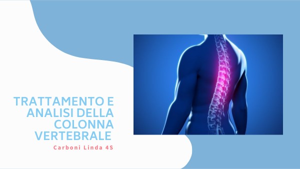 Colonna vertebrale